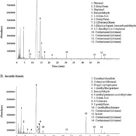 Example Tics Total Ion Chromatograms From Gcms Analysis Of Vocs From