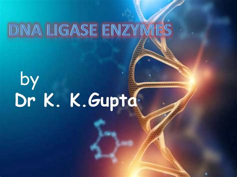 Dna Ligase Enzymes Ppt