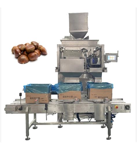 China Kg Kg Kg Kg Grains Nuts Cartons Box Packing Machine Two Head Belt Linear Weigher