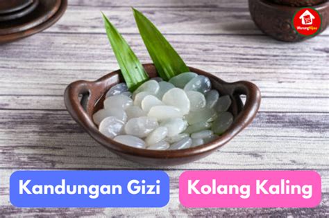 Kandungan Gizi Dalam Kolang Kaling