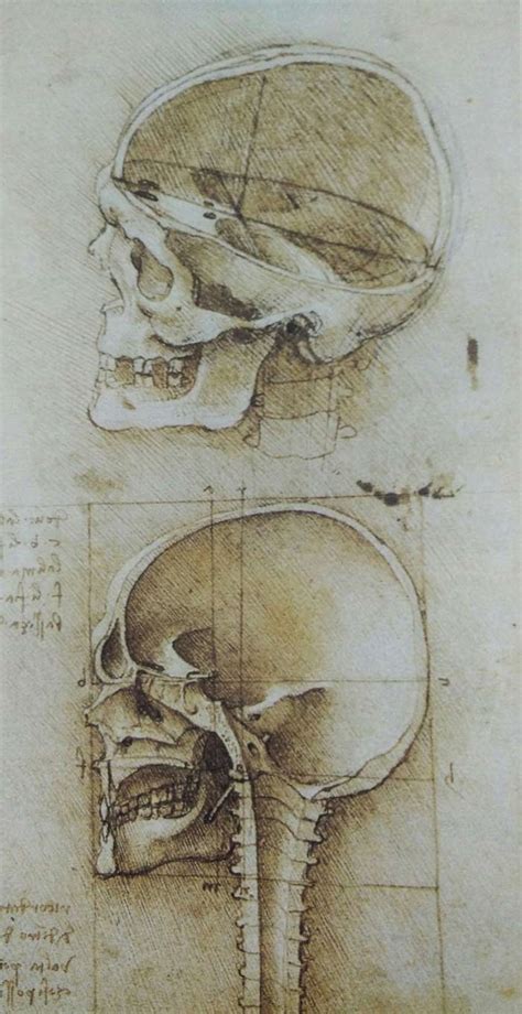 Leonardo Da Vinci On Portrait Drawing Anatomy Master Class
