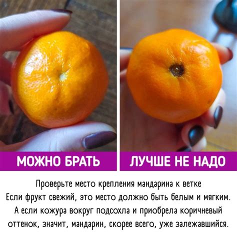 Пин от пользователя Светлана на доске ПОЛЕЗНЫЕ СВОЙСТВА Кулинарные советы Питание рецепты