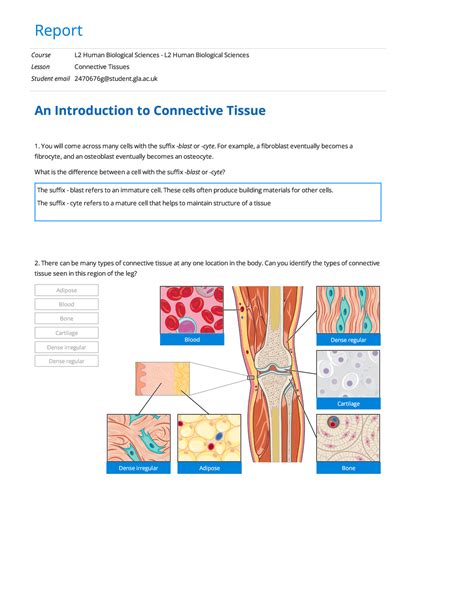 Connective Tissues Lecture Notes Report Course L H Uman Biological Scie Nce S L H Uman