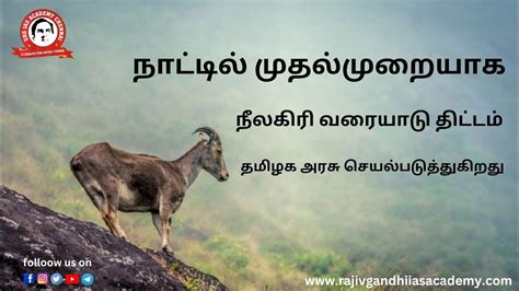 Nilgiri Tahr நாட்டில் முதல்முறையாக நீலகிரி வரையாடு திட்டம் தமிழக