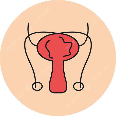 Male Reproductive System Icon For Your Project Project Icons System