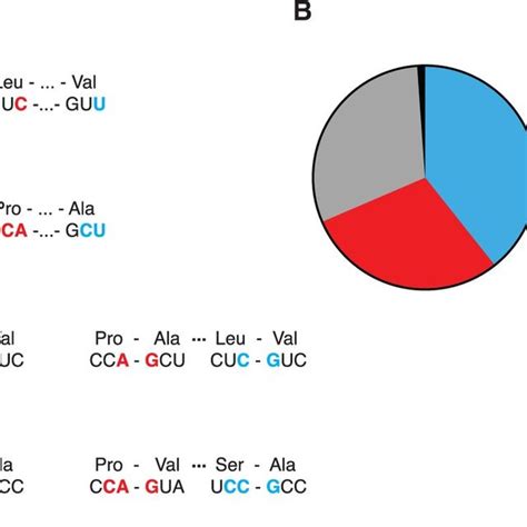 A Diagram Of Permutation Approaches Adapted From Belalov And Download Scientific Diagram