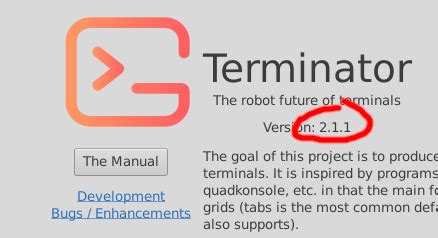 Double Input To Broadcasted Group Issue Gnome Terminator Terminator GitHub