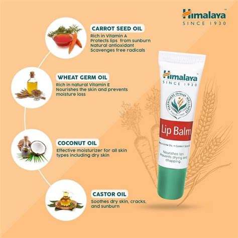 Himalaya Herbals Lip Balm Thailand Best Selling Beauty Products No