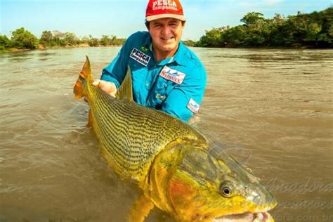 Pesca Esportiva Praticar O Pesque E Solte Traz Mais Benefícios