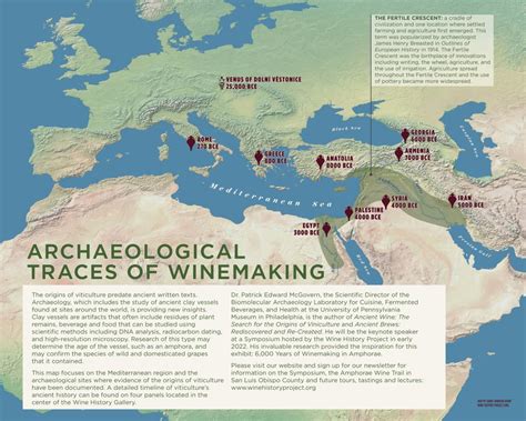 Amphorae Celebrating Amphorae Exhibit October 2022 Wine History