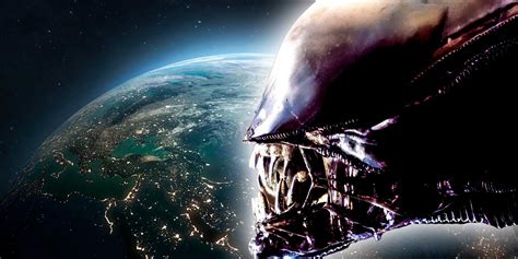 10 Best G And Pg Rated Christmas Movies According To Rotten Tomatoes