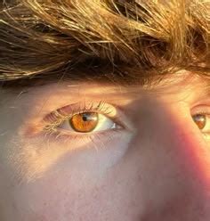 Dark Honey Eyes 🐻🍯 Occhi Color Nocciola Occhi Marroni Occhi
