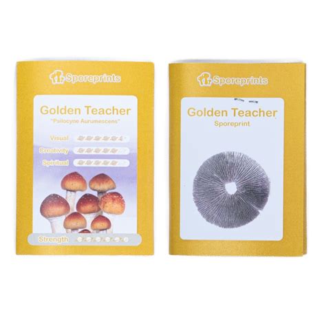 Buy Golden Teacher Spore Print Premium For Microscopy