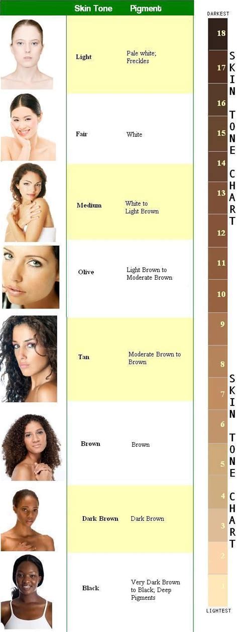 Shades Of Human Skin Color At Pam Kirkland Blog