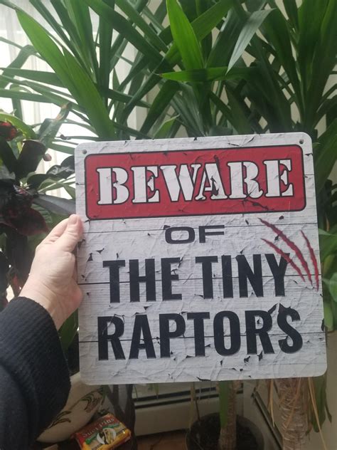 Its Tongue Is Sticking Out Reevee