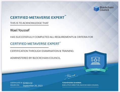 Wael Youssef On Linkedin Metaverse 13 Comments