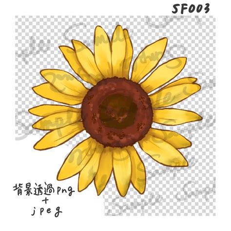 ひまわりのイラストの手書き素材 花のみおしゃれで綺麗なイメージのリアルな向日葵SF003 enr n illustration