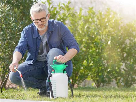 What Is The Strongest Weed Killer