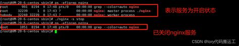 Linux Centos 76安装nginx详细保姆级教程centos 安装nginx Csdn博客