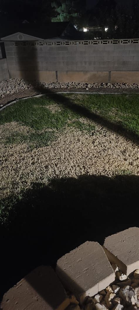 Help Please Patchy Grass R Lawncare