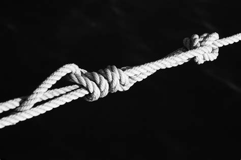 Node Connection Dew Free Photo On Pixabay Pixabay