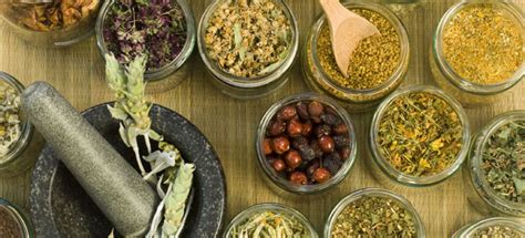 Fitoterapia El Método Natural Para Combatir El Estrés