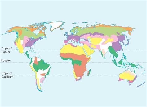 Diagram Of Gcse Geography Biomes Quizlet