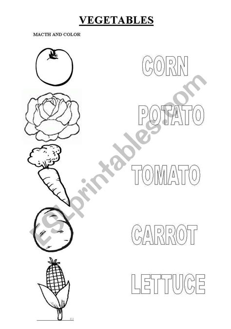Vegetables Worksheet Worksheets Esl Lesson Plans Esl Lessons