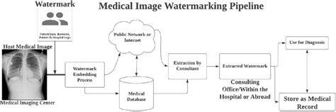 medical image watermarking pipeline download scientific diagram