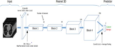 Resnet 3d Is Used To Predict Cancer Download Scientific Diagram