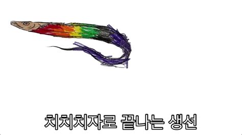 생선이 좋아 Youtube