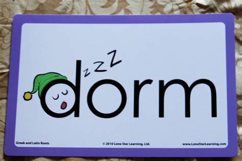 Dorm Word Root Quiz Quizzes Now