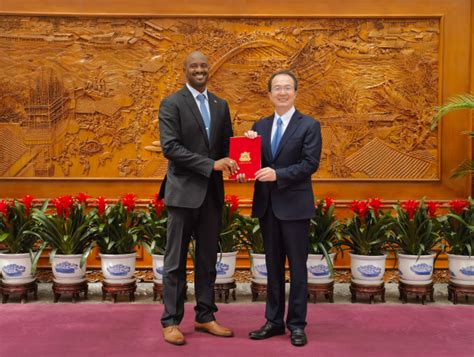 Director General Of The Protocol Department Of The Foreign Ministry