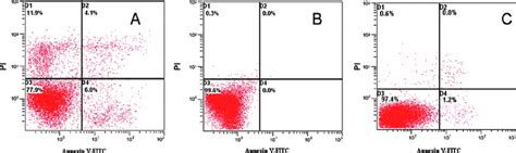Annexin V Staining Shows Induction Of Apoptosis A549 Cells A And