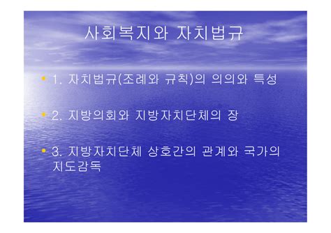 사회복지와 자치법규1 사회과학