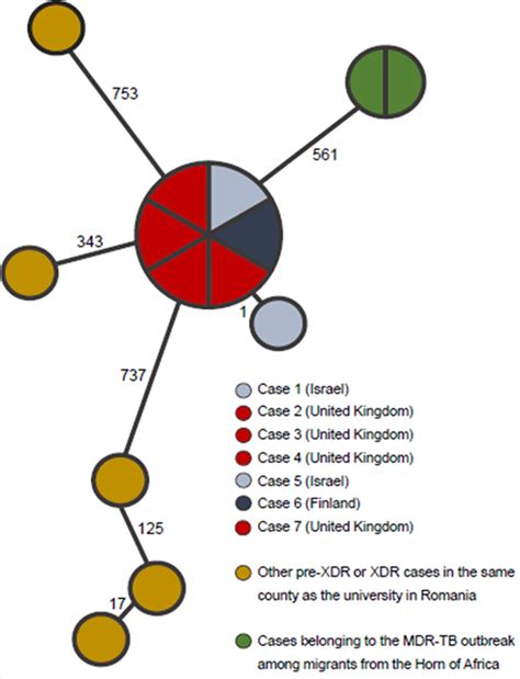 Cross Border Outbreak Of Extensively Drug Resistant Tuberculosis Linked