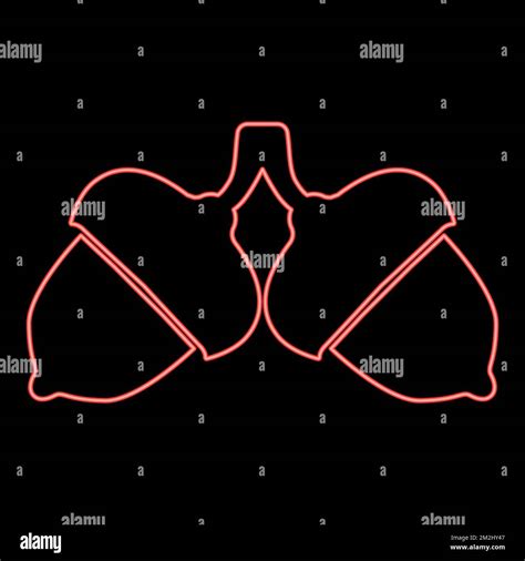 Neon Two Acorn Red Color Vector Illustration Image Flat Style Light