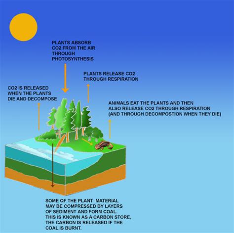 Fossil Fuels EAge Tutor