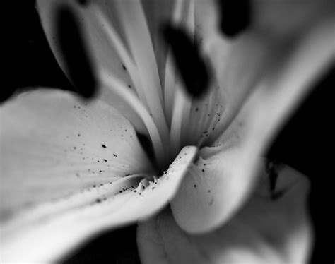 The Pensions Regulators Corporate Plan For 2023 To 2024 Alan Cronin