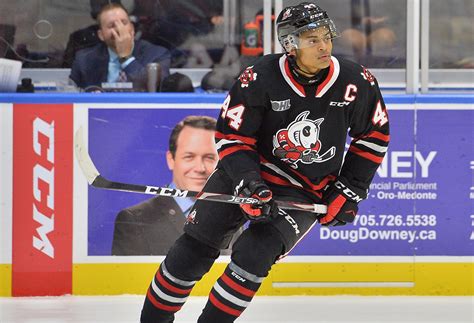 Icedogs Get Back In Win Column Bp Sports Niagara