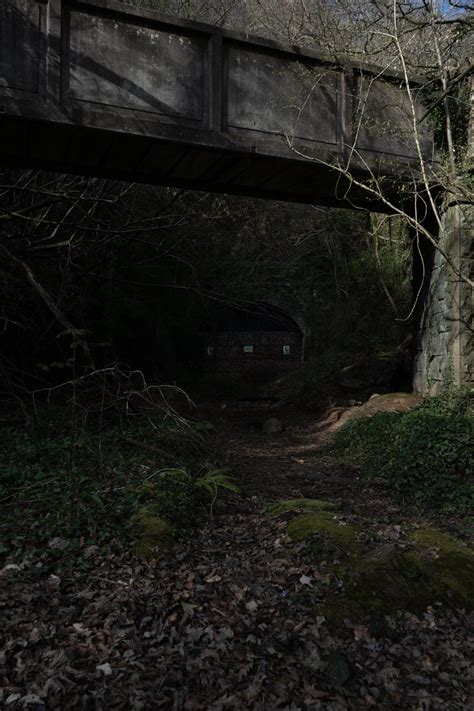 Sony A7iv Focussing Issue Or Bad Photographer Explanation In Post