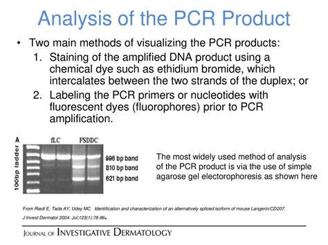 Research Techniques Made Simple Polymerase Chain Reaction Ppt Download