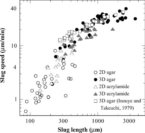 Slug Speed As A Function Of Slug Length Open And Filled Circles Download Scientific Diagram