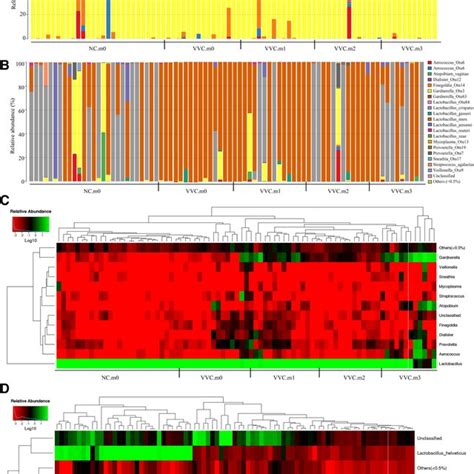 Vaginal Microbiota Composition Of Women In Various Groups A At The