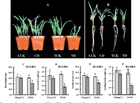Figure 1 From Comparative Proteomics Analysis Of The Seedling Root