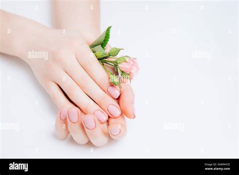Close Up Beautiful Sophisticated Female Hands With Pink Flowers On