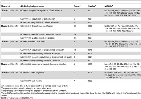 Functional Annotation Clusters Of Enriched Go Biological Processes Download Table