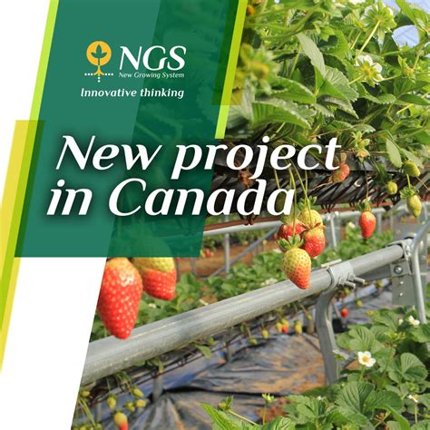Ngs Ngsystem Posted On Linkedin