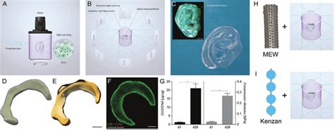 Volumetric Bioprinting And Its Potential Utility In Hybrid Fabrication