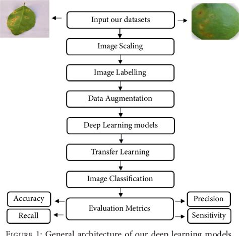 Figure 1 From Classification Of Citrus Diseases Using Optimization Deep